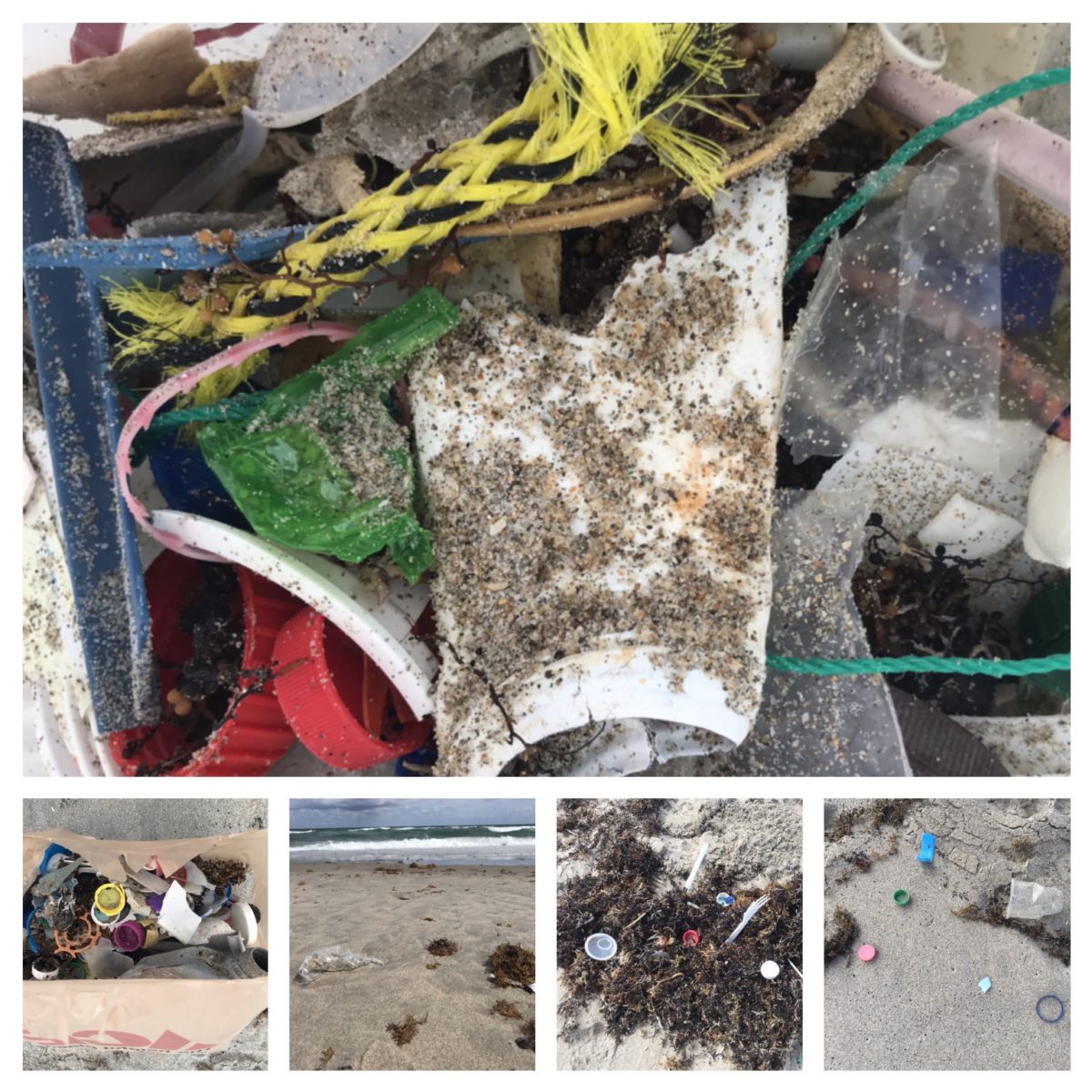 Plastic, plastic, everywhere… | Go Where It's Warm