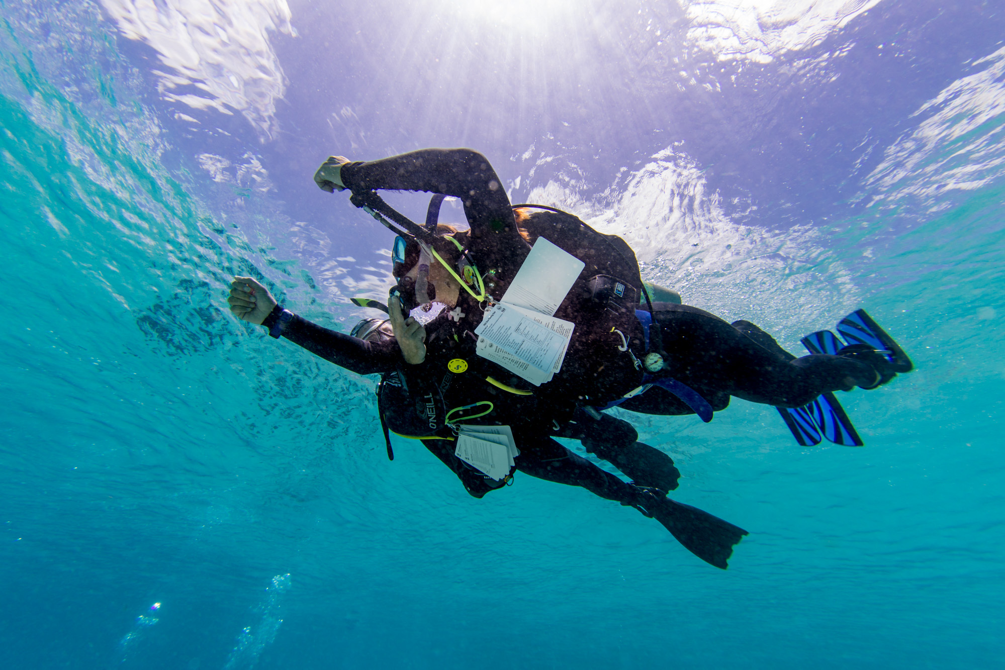 PADI IDC & IE | Go Where It's Warm